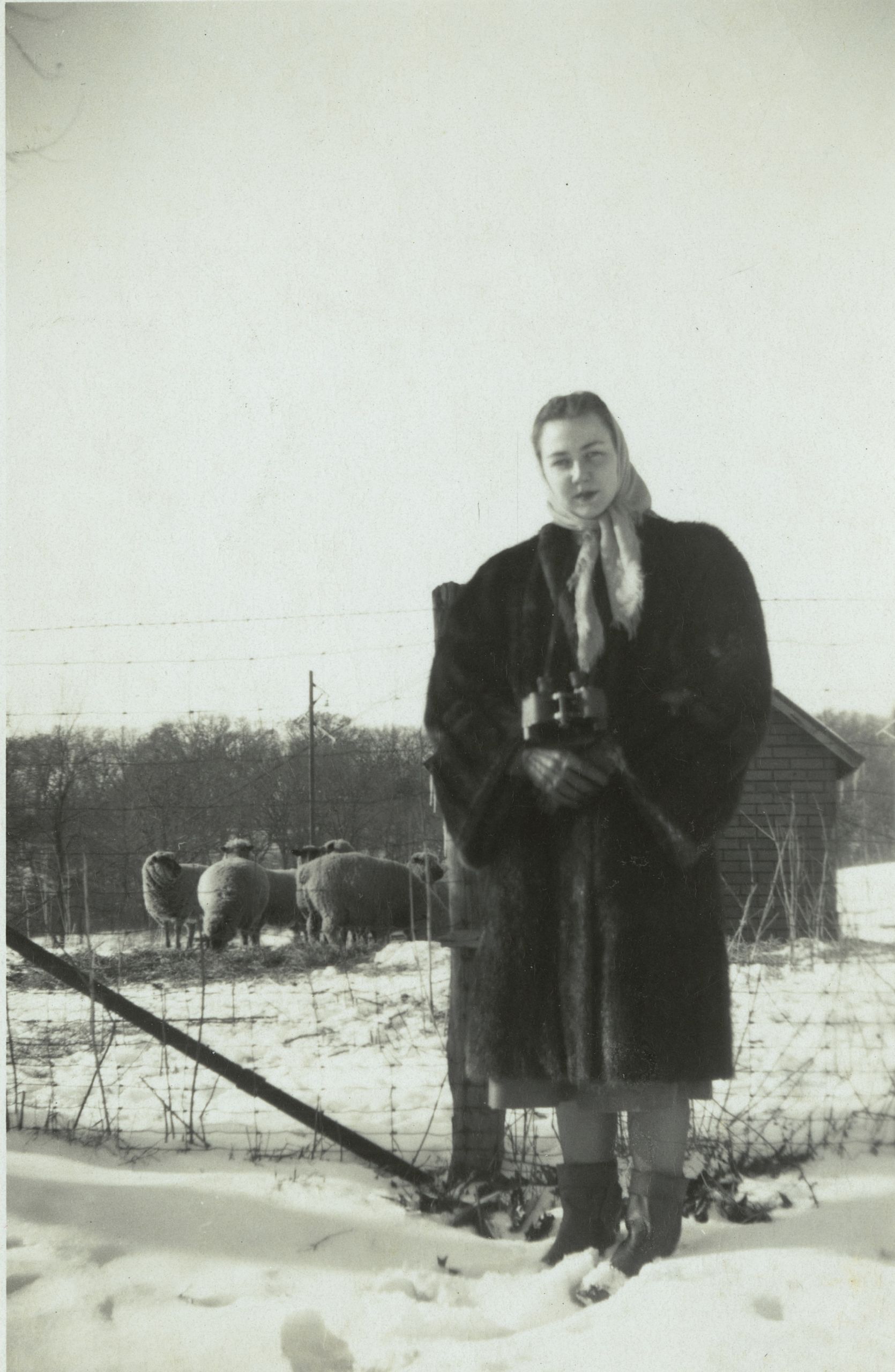 Flannery O'Connor biographical timeline | American Masters | PBS