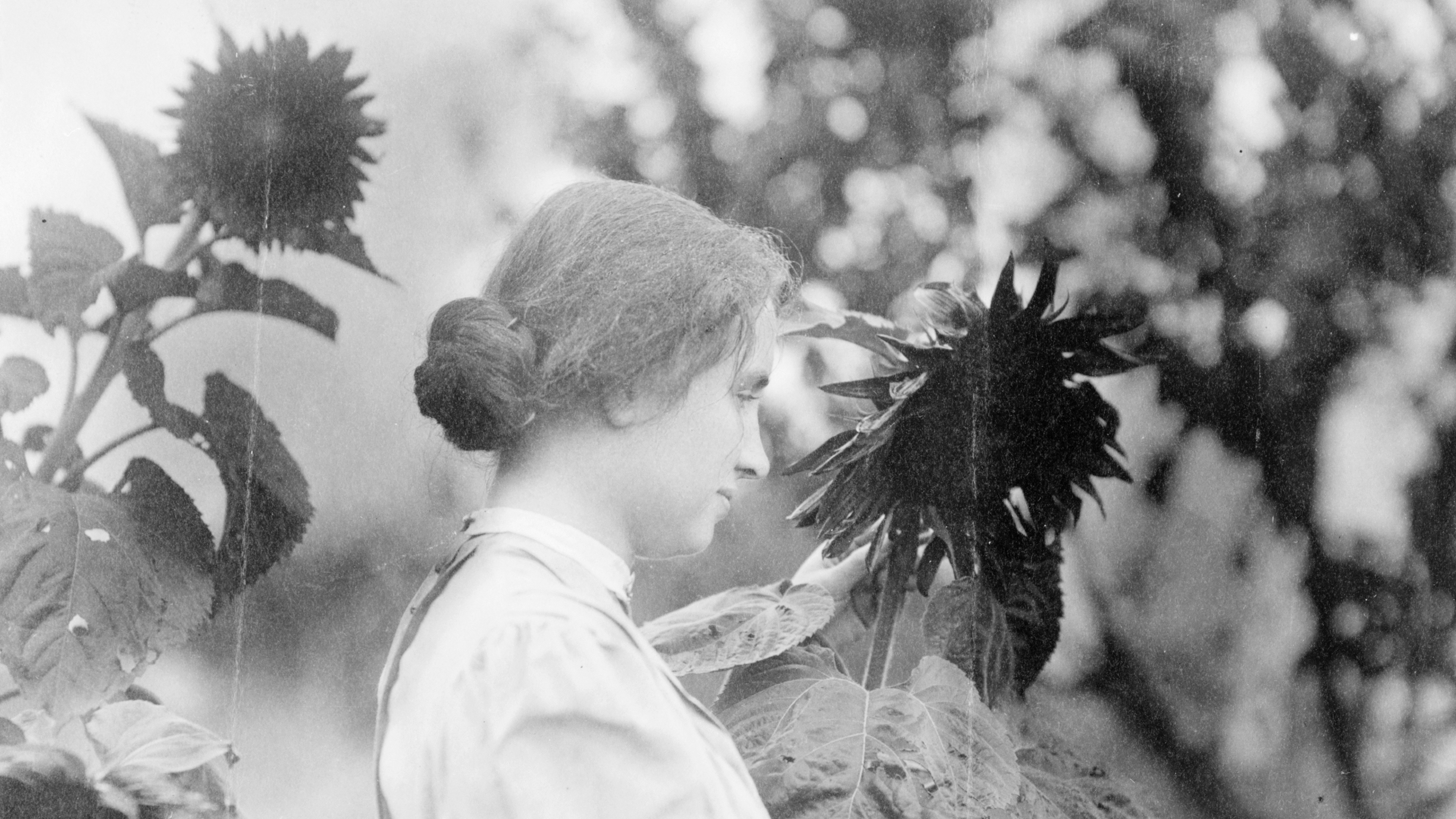 Two poems influenced by Helen Keller's legacy | American Masters | PBS