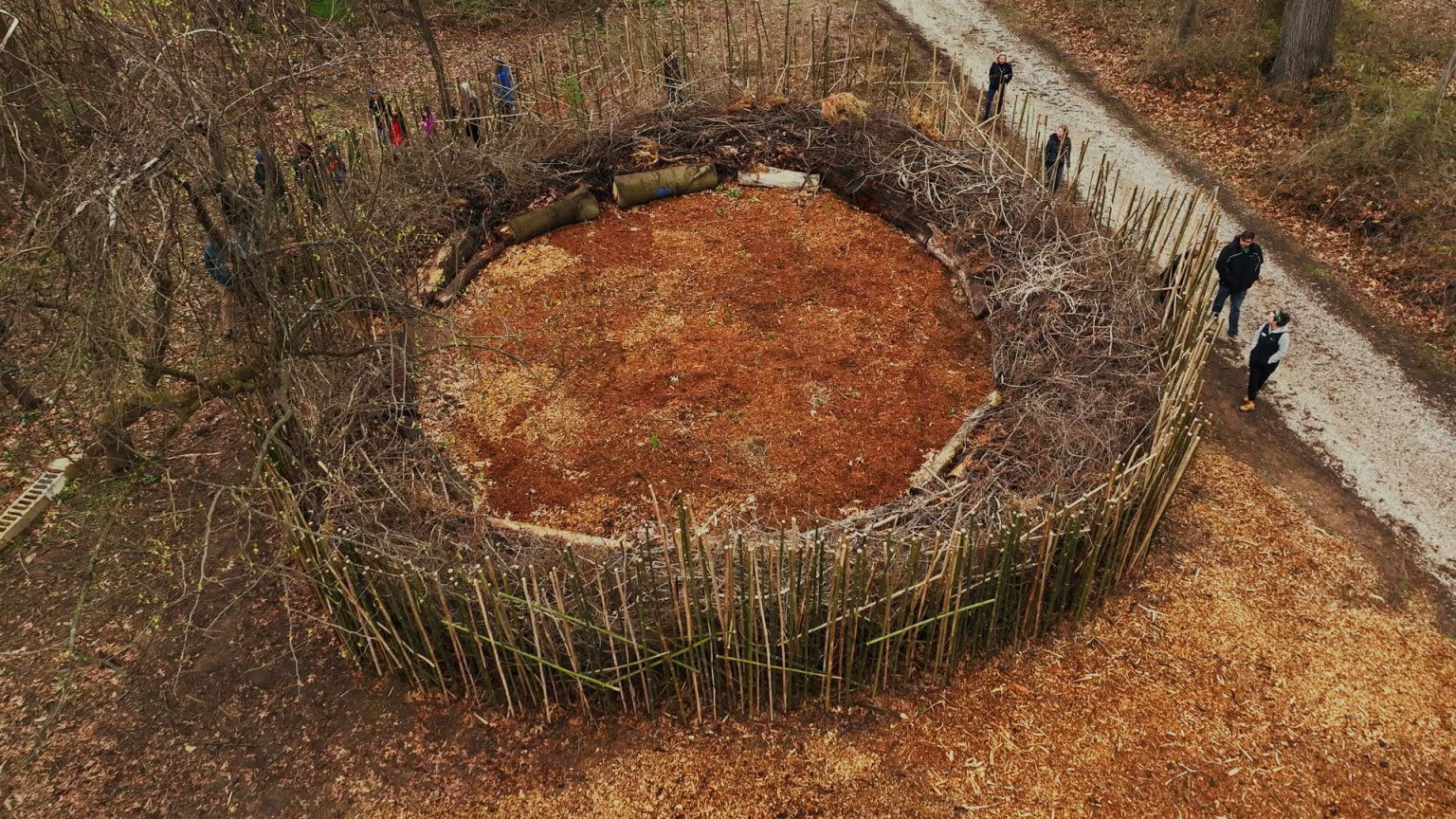 Weaving Nature | American Masters | PBS