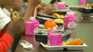 Free Lunch Programs Make A Big Difference in Student Success