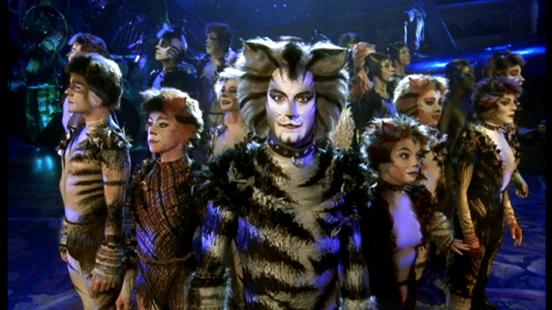 Cats What Is The Jellicle Ball Great Performances PBS Cats What Is The Jellicle Ball Great Performances PBS