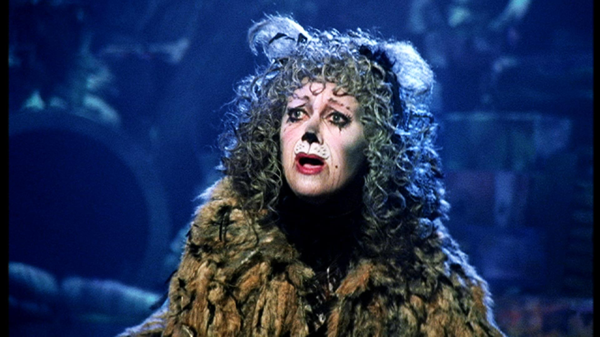 Cats Musical Songs In Order Cats Musical Songs In Order