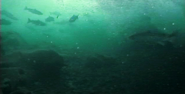Iceland: Fire and Ice | Land of Myth | Nature | PBS