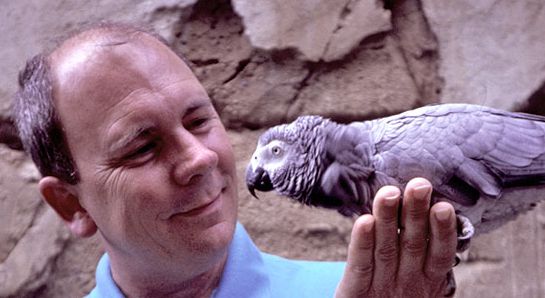 Extraordinary Birds | Feathered Friends | Nature | PBS