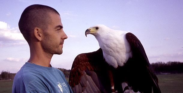 Extraordinary Birds | Interview: Steve Jones, Falconer | Nature | PBS