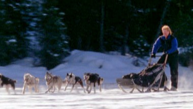 Sled Dogs: An Alaskan Epic | Balto | Nature | PBS