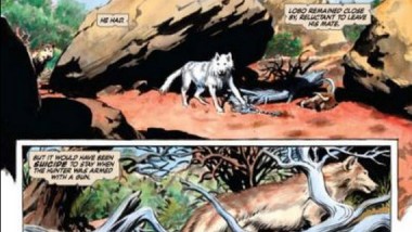 The Wolf That Changed America | Wolf Wars: America's Campaign to ...