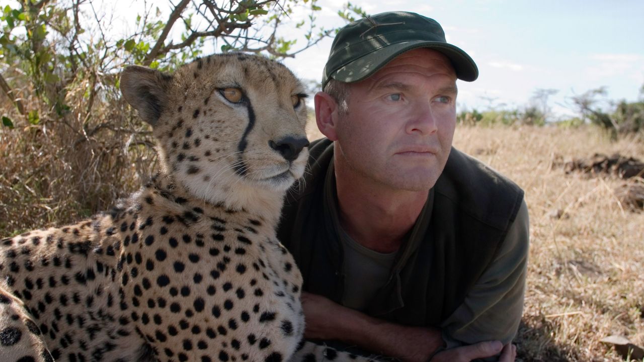 The Cheetah Orphans | Interview with Filmmaker Simon King | Nature | PBS