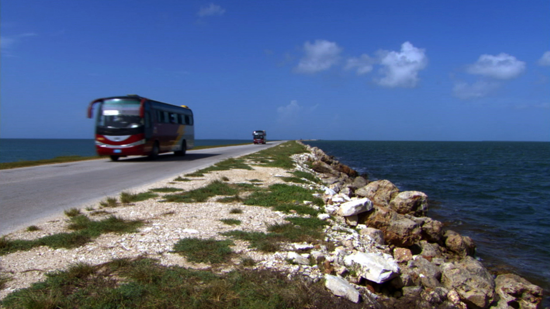 Cuba: The Accidental Eden | The Causeway to Cayo Coco | Nature | PBS