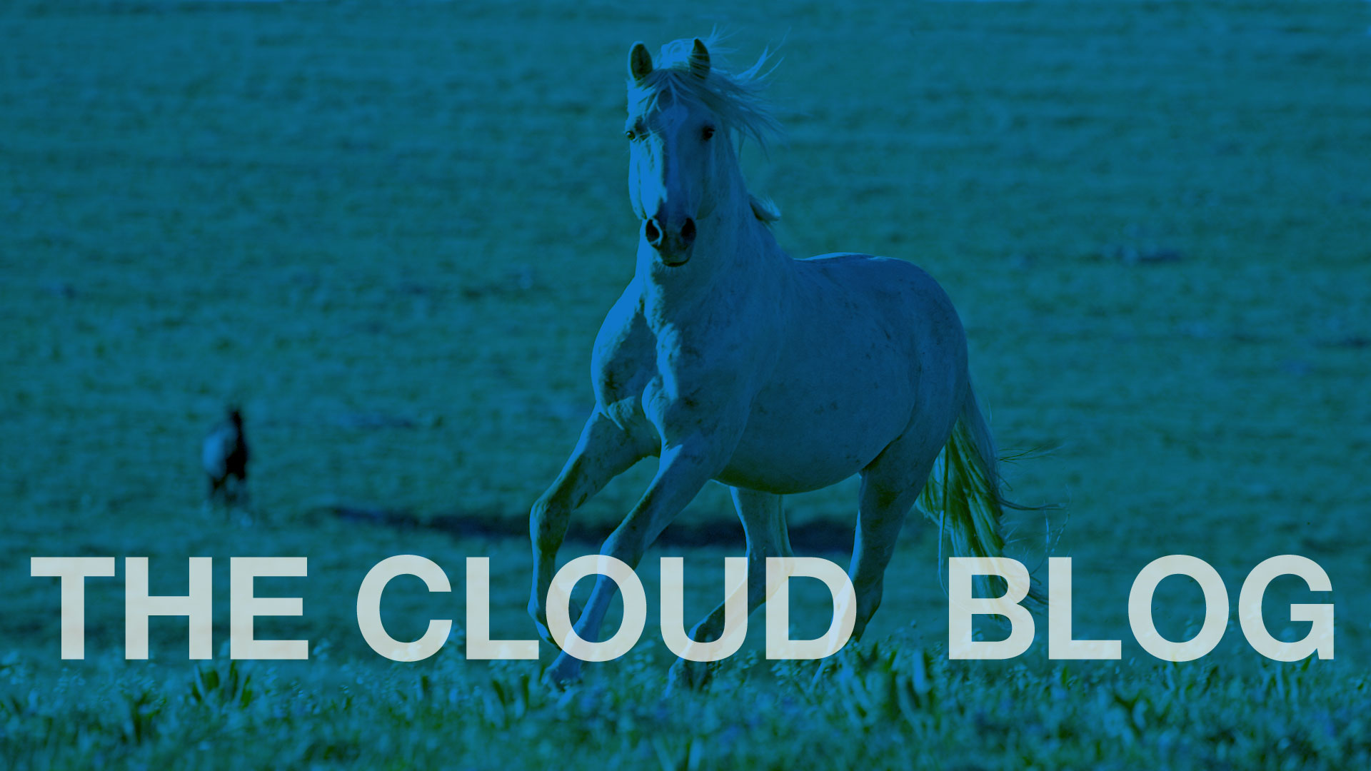 The Cloud Blog: Celebrating with Cloud on his 16th Birthday | Blog ...