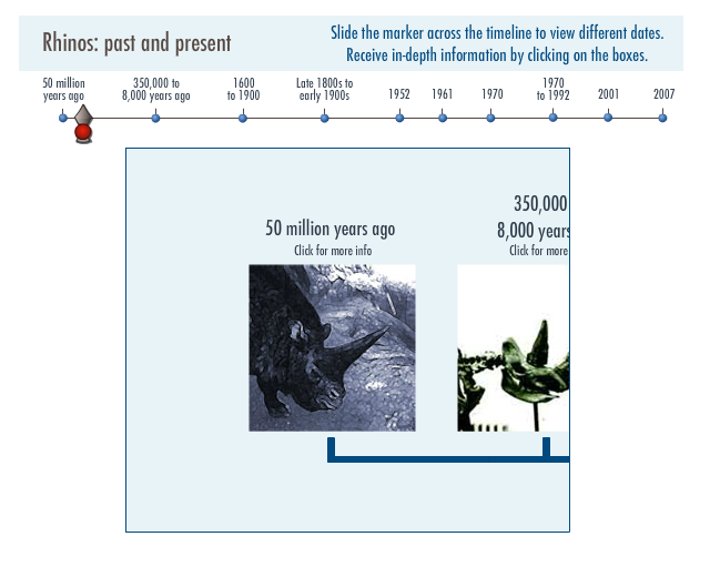Rhino Evolution