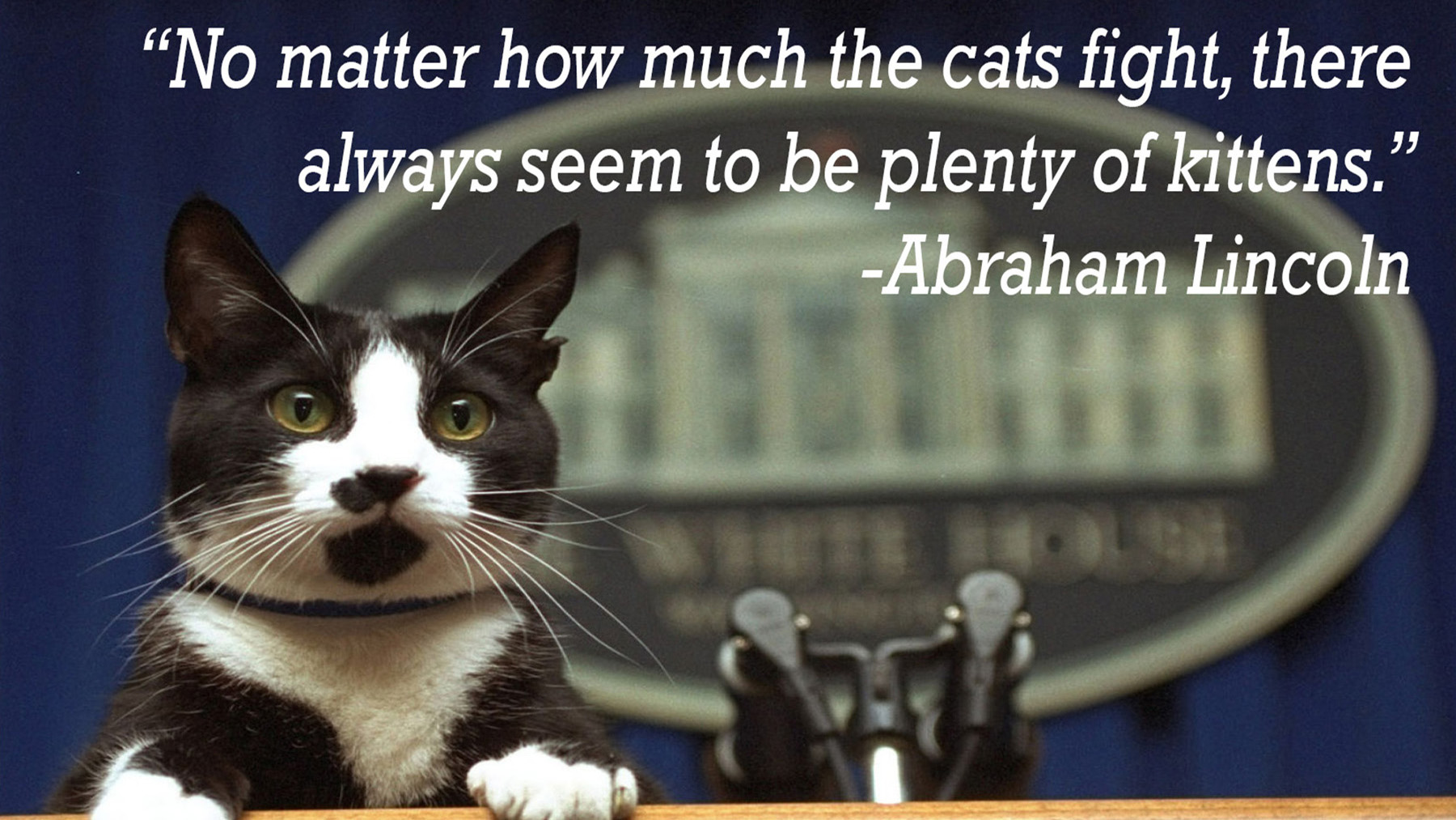 Why We Love Cats and Dogs | Important Pet Quotes in History | Nature | PBS