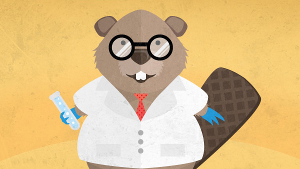 Leave It to Beavers | The Benefits of Beavers | Nature | PBS