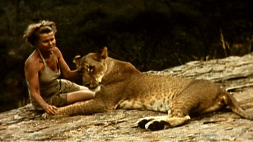 Elsa's Legacy: The Born Free Story | How Did "Born Free" Affect You ...