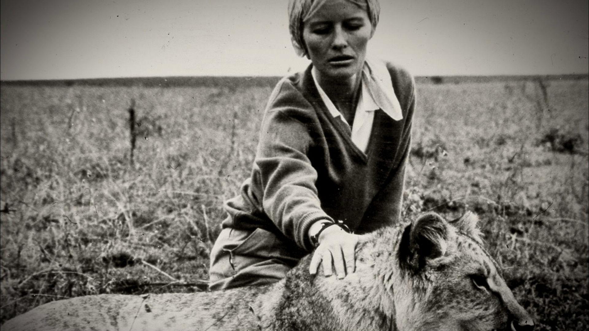 Elsa's Legacy: The Born Free Story | Virginia McKenna at Elsa's Camp ...