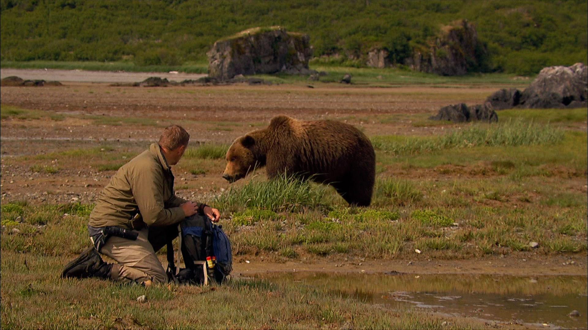 Bears of the Last Frontier | The Manhattan of Bear Country | Nature | PBS