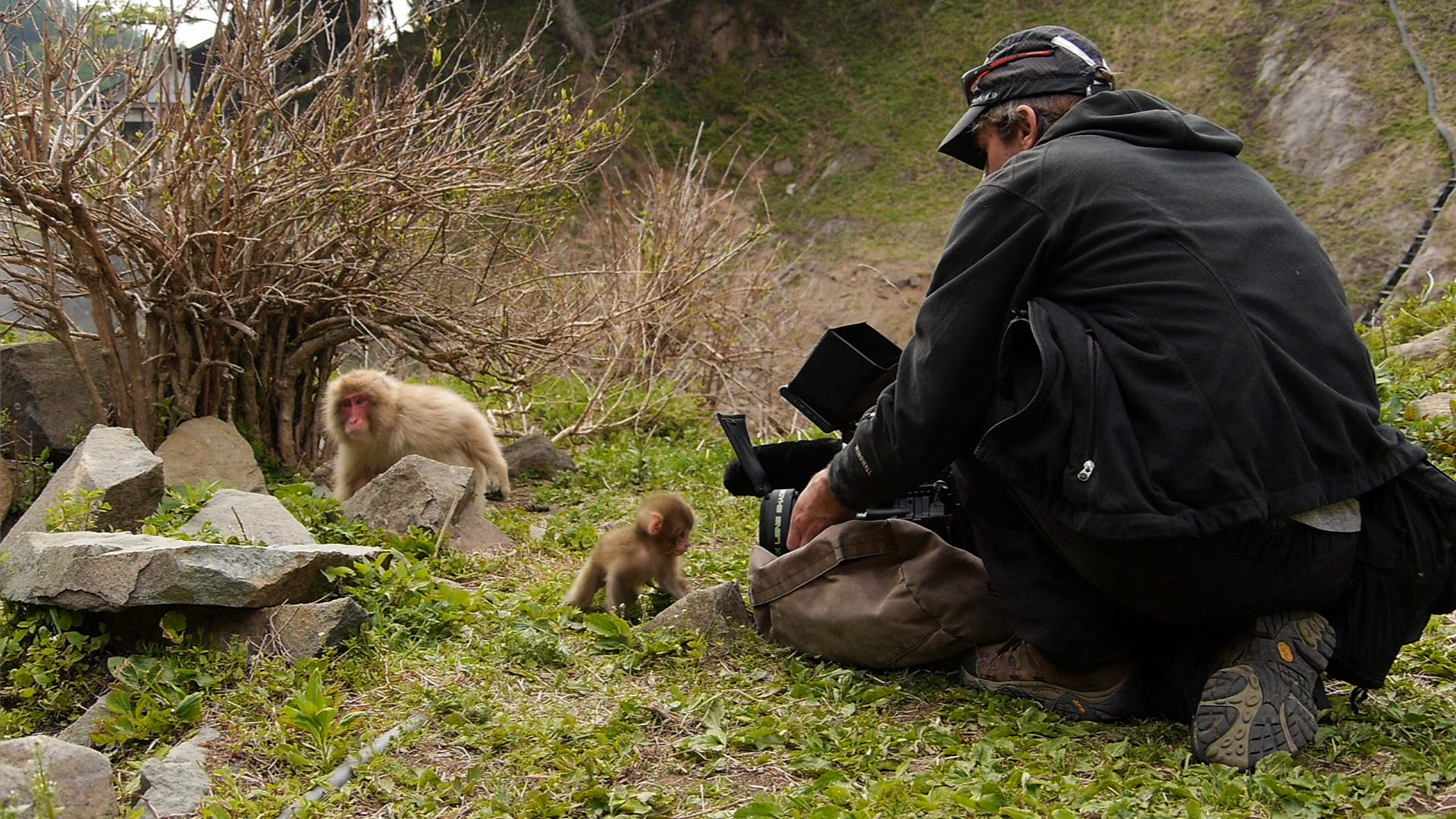 Snow Monkeys | Behind The Scenes: Making of Snow Monkeys | Nature | PBS