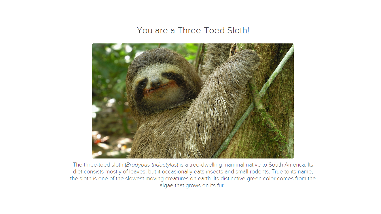 Which Animal Misfit Are You? | Nature | PBS