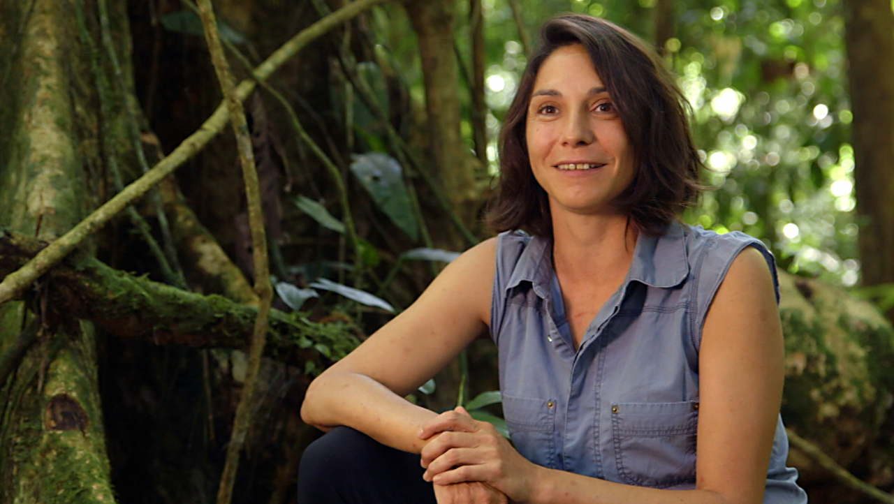 A Sloth Named Velcro | Filmmaker Interview: Ana Salceda Talks About A ...