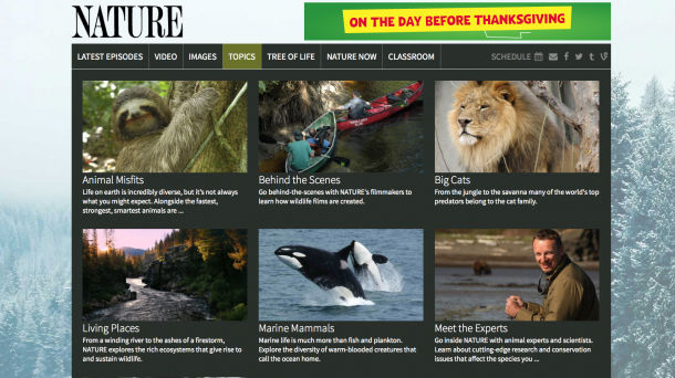 Welcome to the New and Improved NATURE! | Blog | Nature | PBS