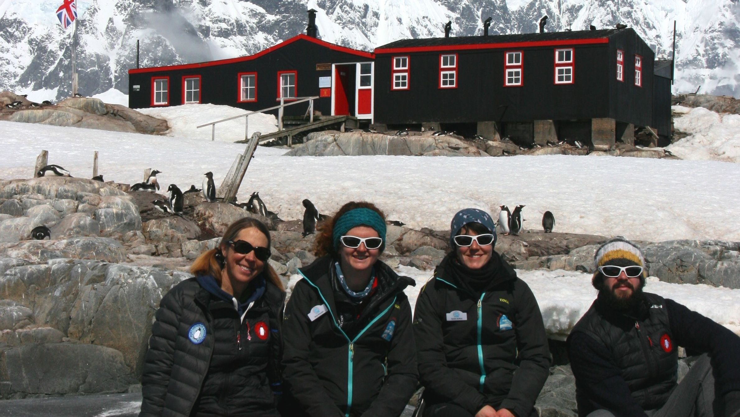 What It's Like to Live and Work Among Antarctic Penguins | Blog ...