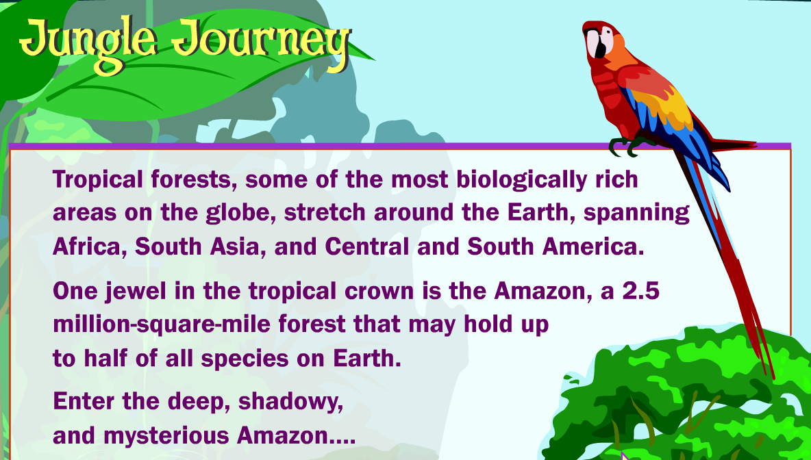 Deep Jungle | Jungle Journey Game | Nature | PBS