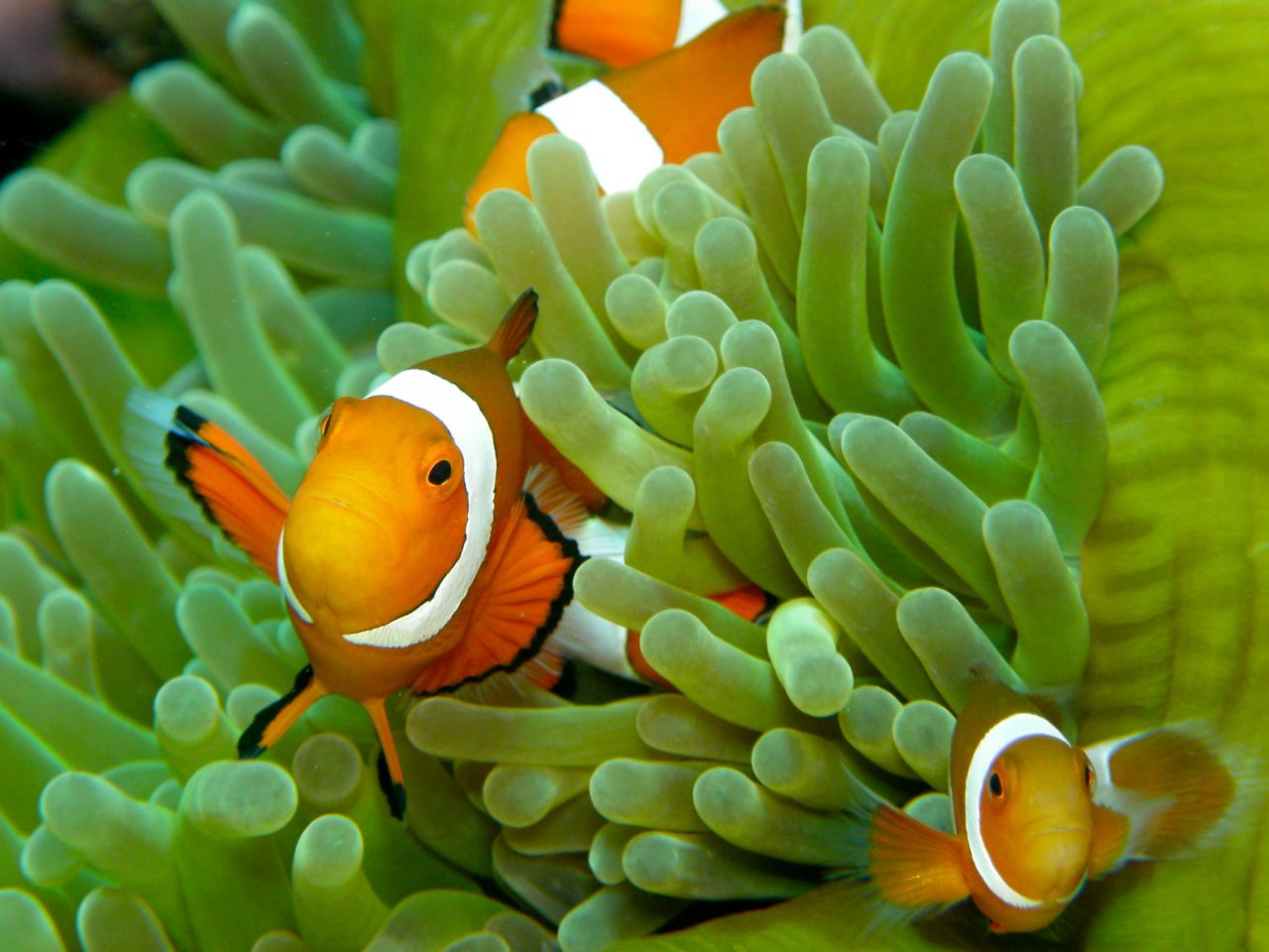 Susie Baker | Your Stories | Nature | PBS