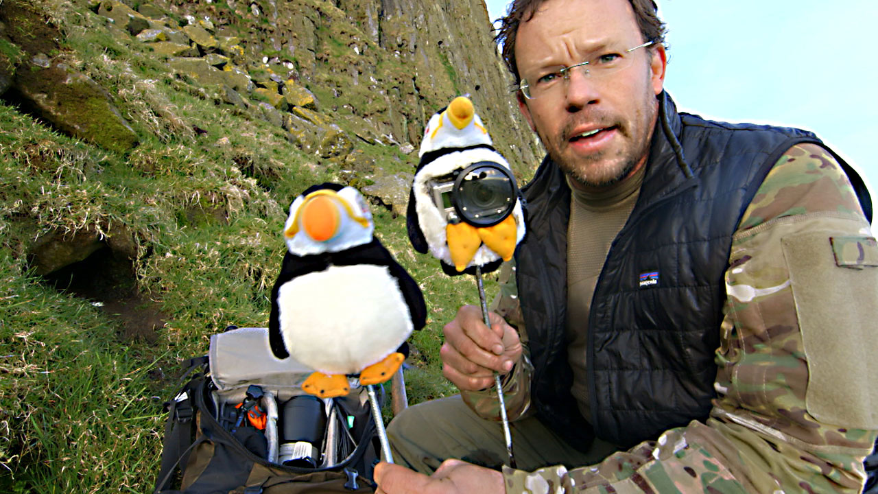 Animal Homes | Behind the Scenes: Puffin Cam | Nature | PBS