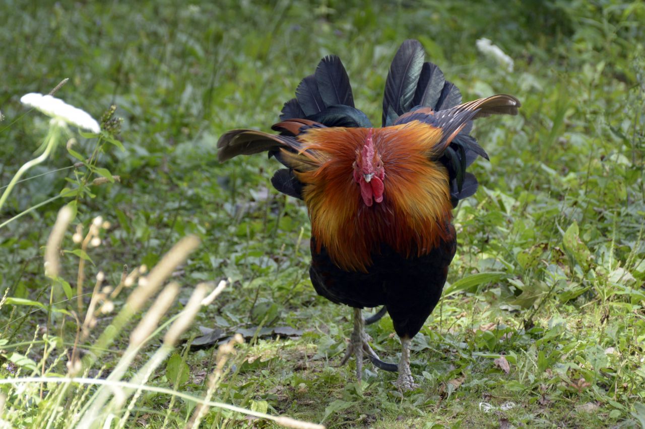 Jill Cunningham | Your Stories | Nature | PBS