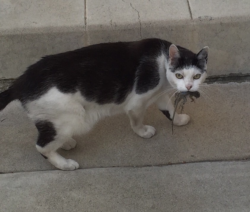 Donna Mercer | Your Stories | Nature | PBS