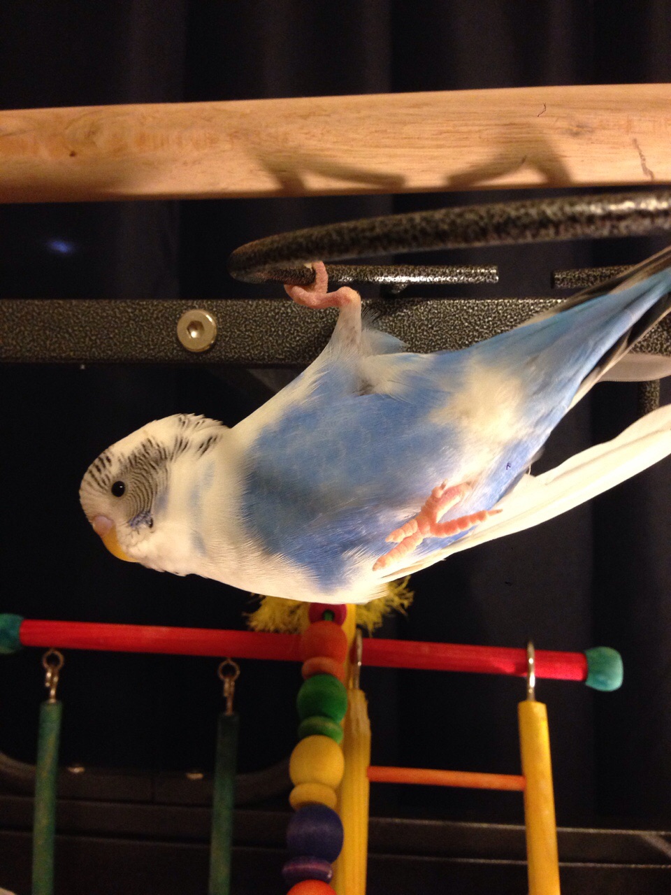 Amanda Lafond | Your Stories | Nature | PBS