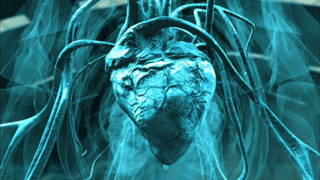 Raising the Dinosaur Giant | The 500-Pound Dinosaur Heart | Nature | PBS