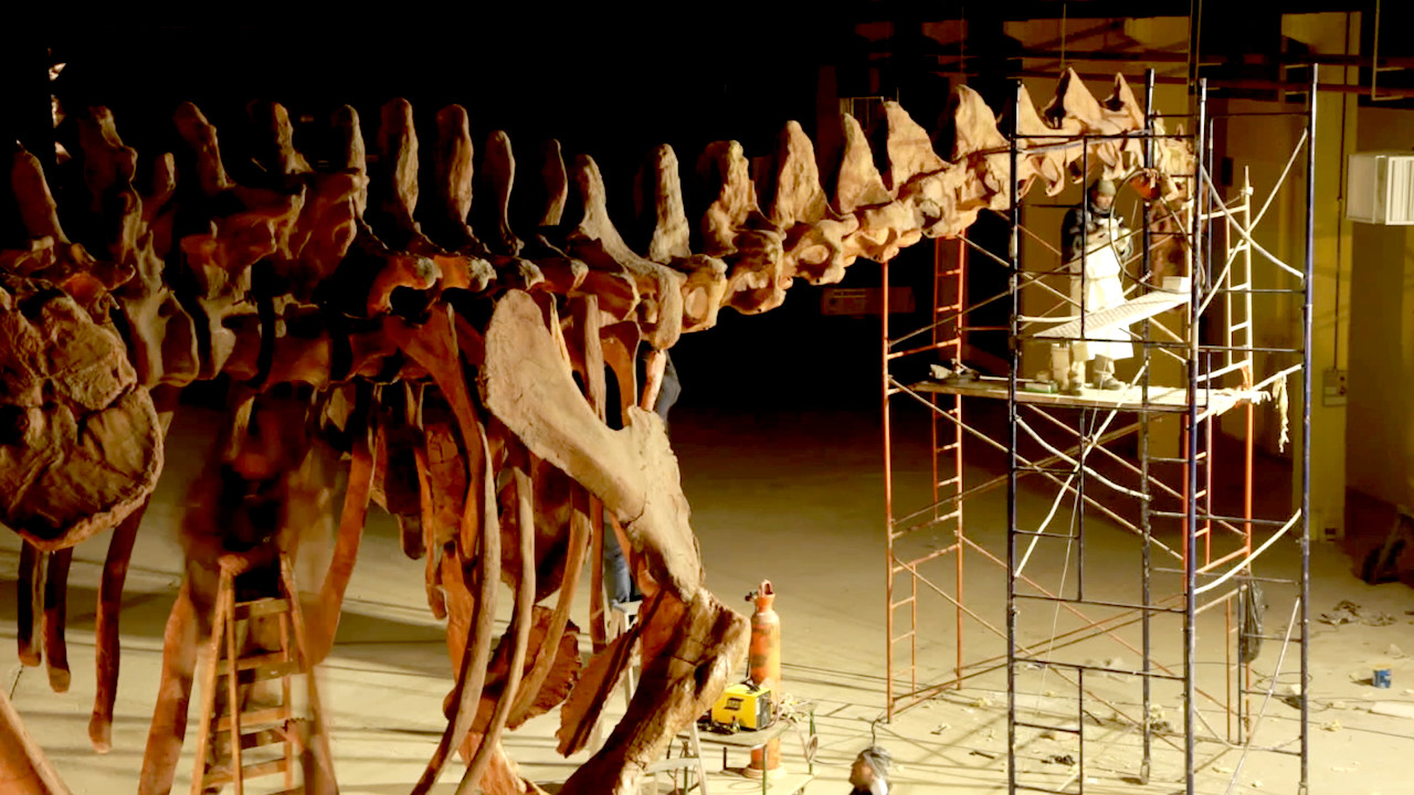 Nephilim Skeletons Museums
