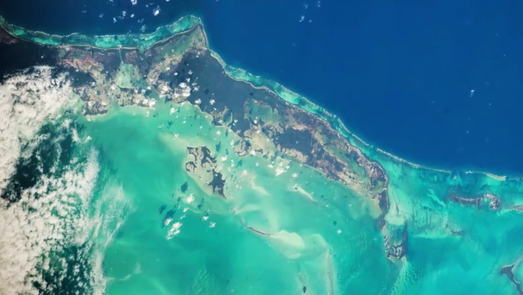 Threat of Oil Drilling Looms Over World’s 2nd Largest Barrier Reef ...
