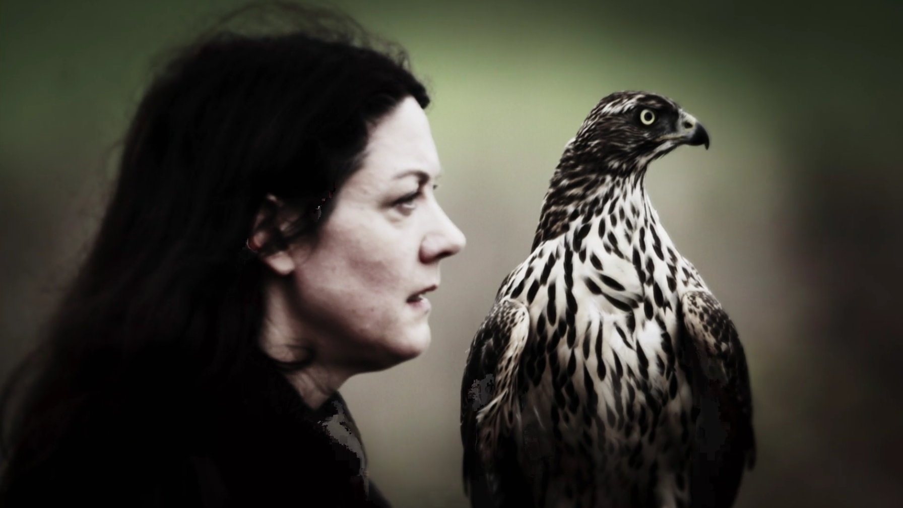 H Is for Hawk: A New Chapter | Author Helen Macdonald on 'H is for Hawk ...