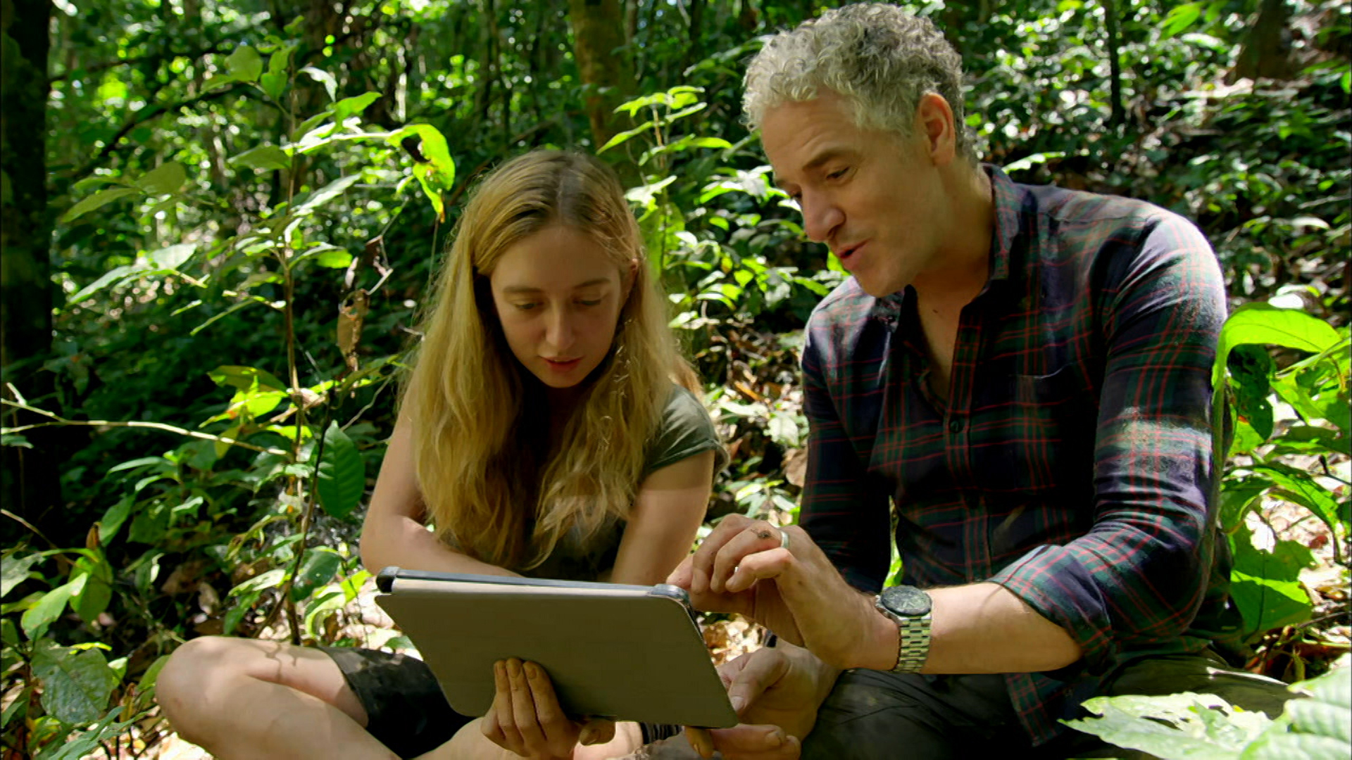 Animals with Cameras | Caring for Orphaned Chimps with Mimi Swift ...