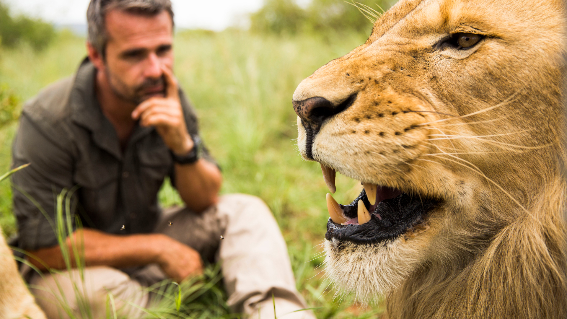 Super Cats: Episode 3 | About | Nature | PBS