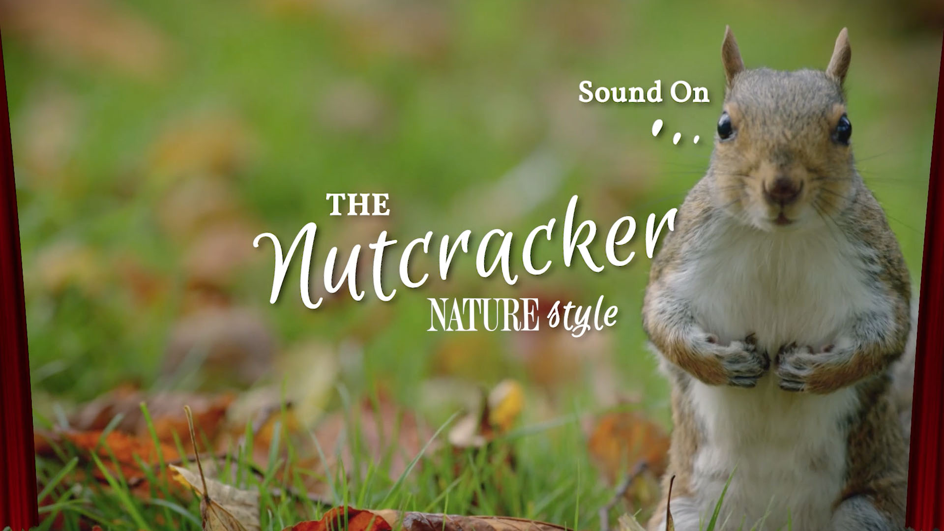The Nutcracker (NATURE style!) | Nature | PBS