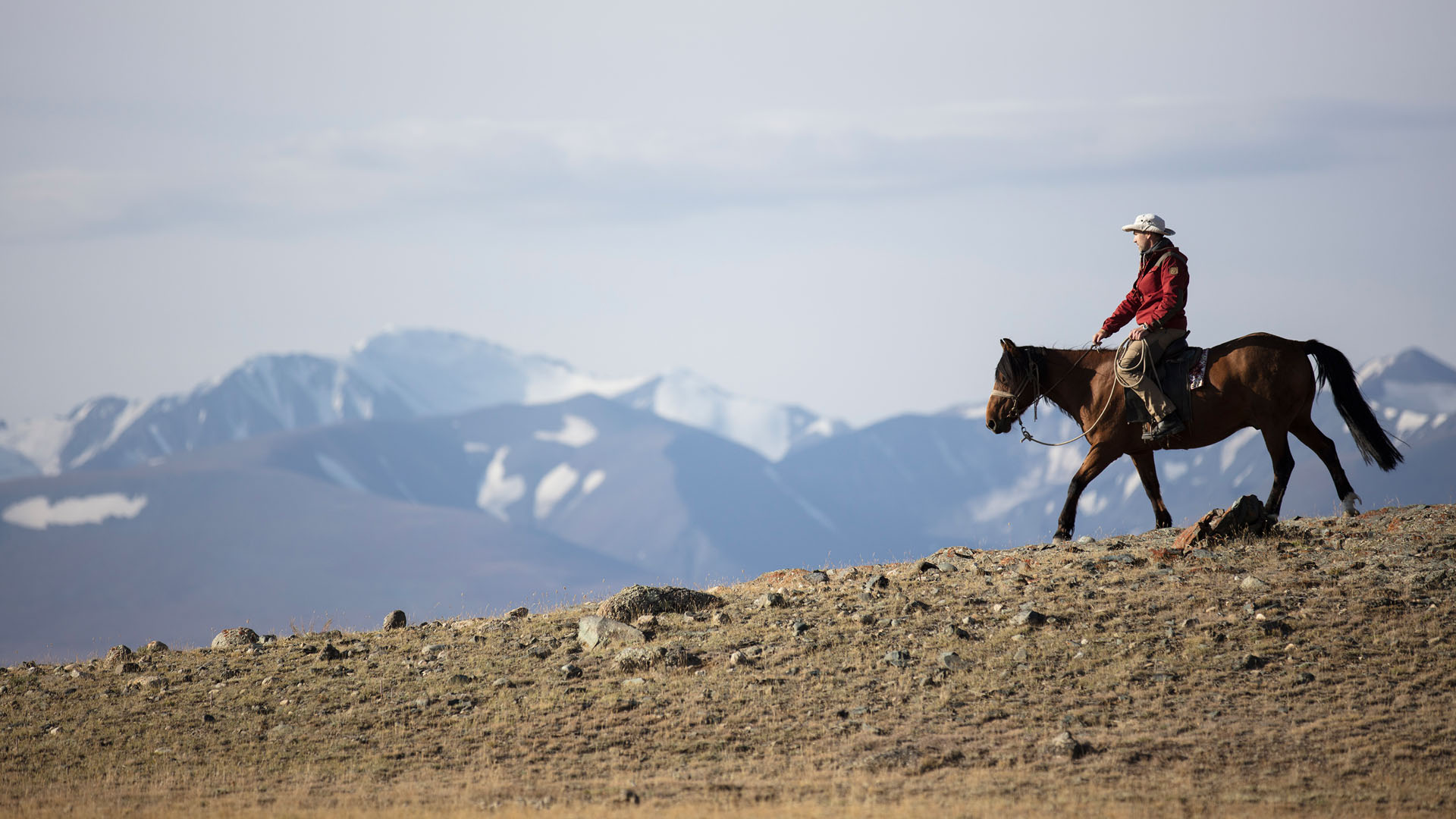 Equus "Story of the Horse" Episode 1: Origins | About | Nature | PBS