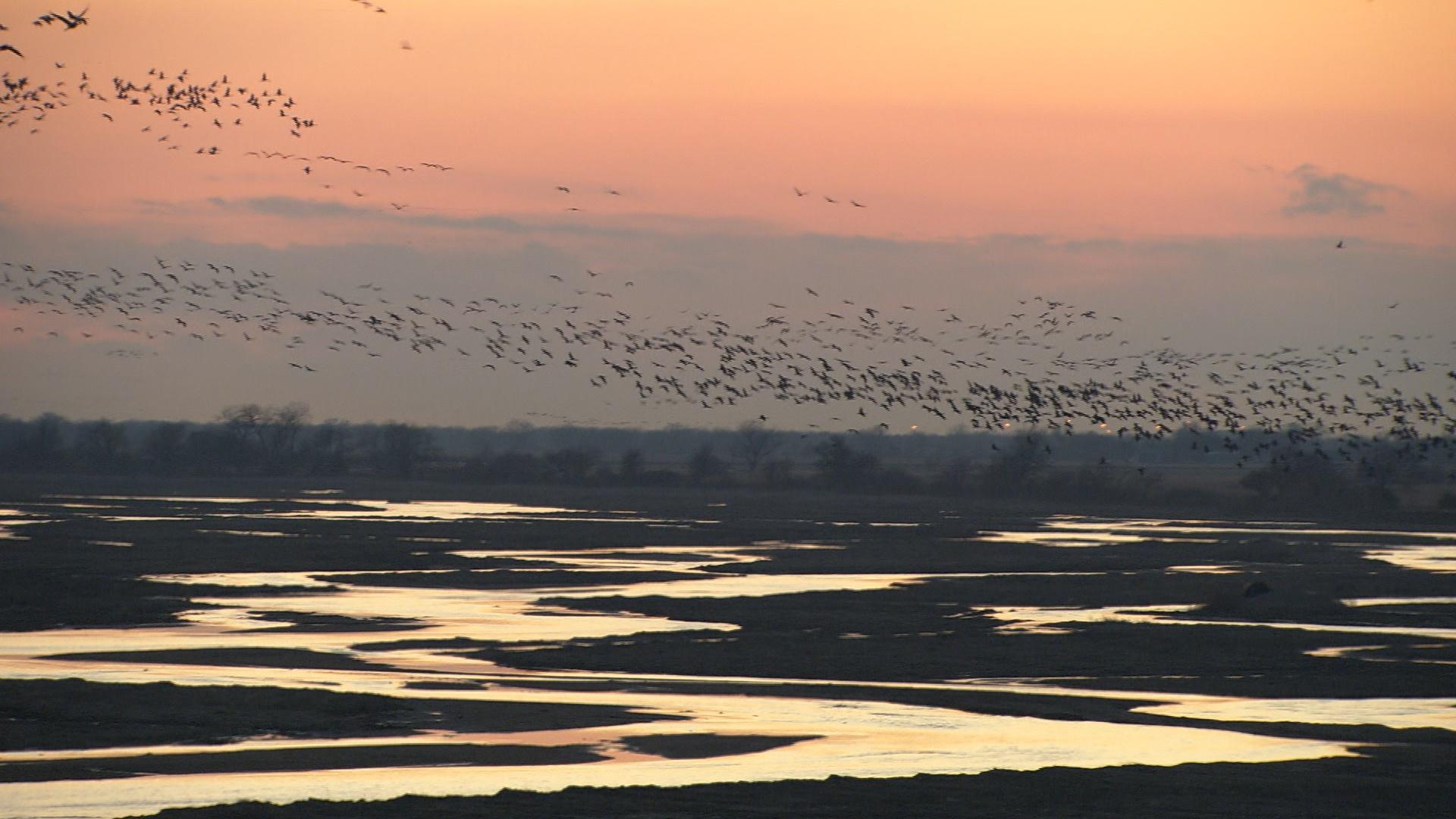 Spring at NET Nebraska | Nature | PBS