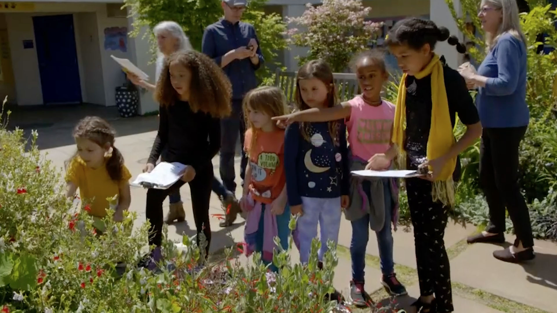 American Spring LIVE | Citizen Science Story: The Great Sunflower ...