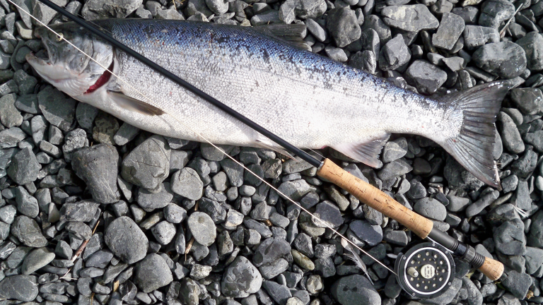 Scientists Discover First-Known Non-Oxygen Breathing Animal | Blog ...