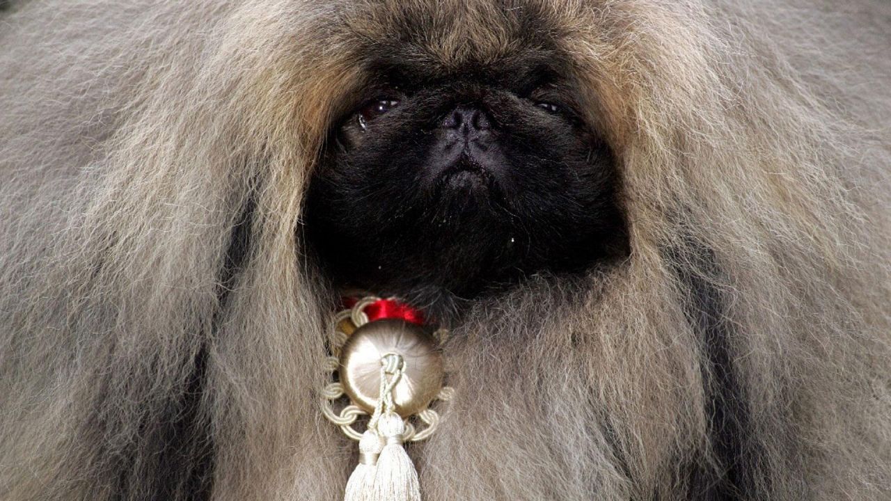 What's Streaming Right Now | PBS NATURE | Blog | Nature | PBS