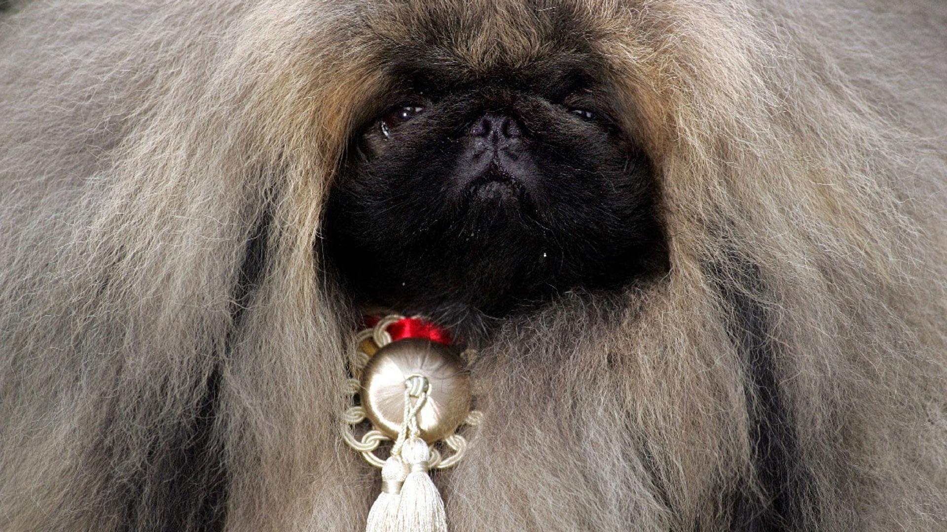 What's Streaming Right Now | PBS NATURE | Blog | Nature | PBS