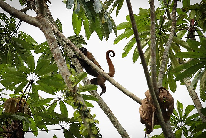 PBS NATURE Resources for Parents and Teachers | Blog | Nature | PBS