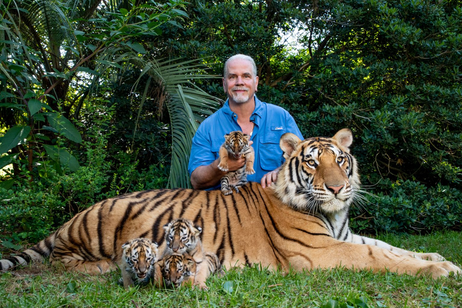 The Truth About "Tiger King" And Cats in Captivity | Blog | Nature | PBS