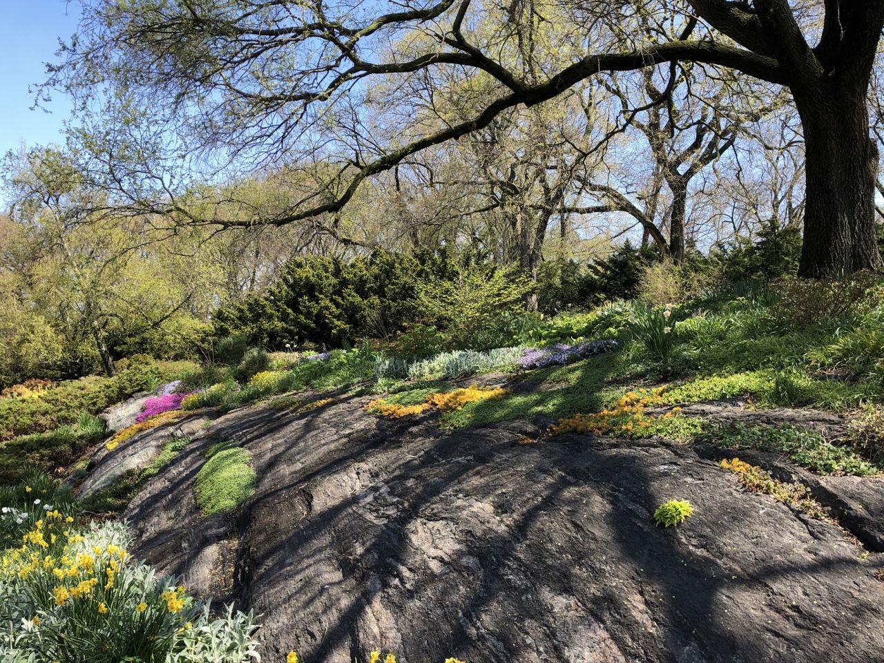 Hiding in Plain Sight: Connecting With Nature in Your City | Blog ...