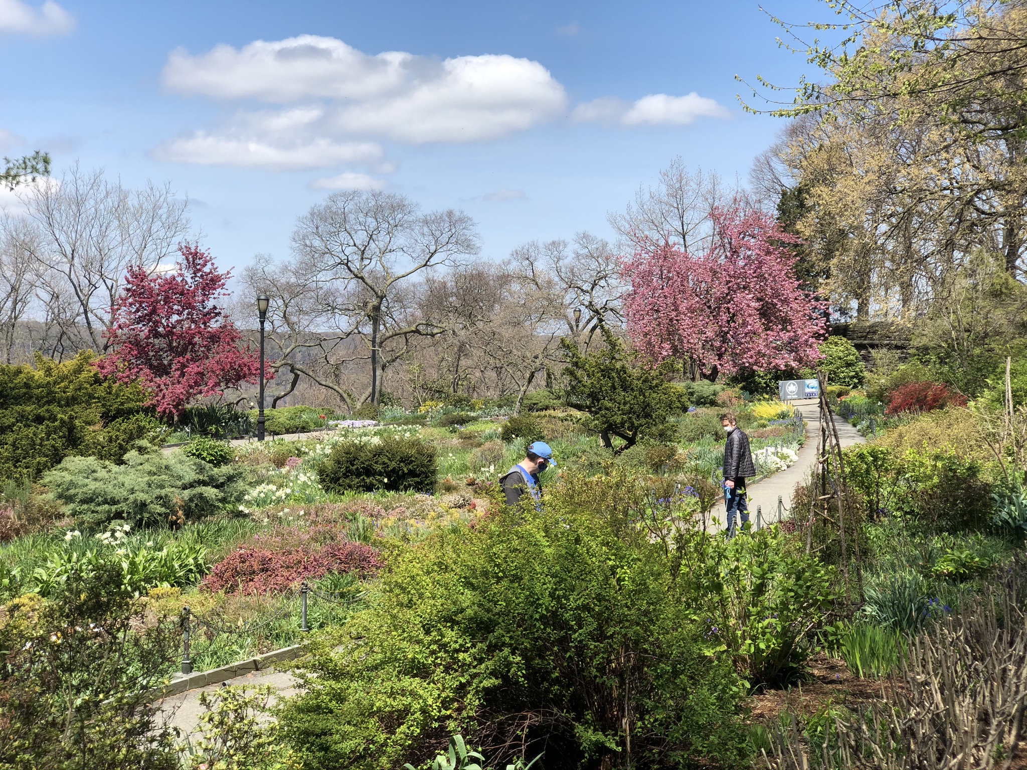 Hiding in Plain Sight: Connecting With Nature in Your City | Blog ...