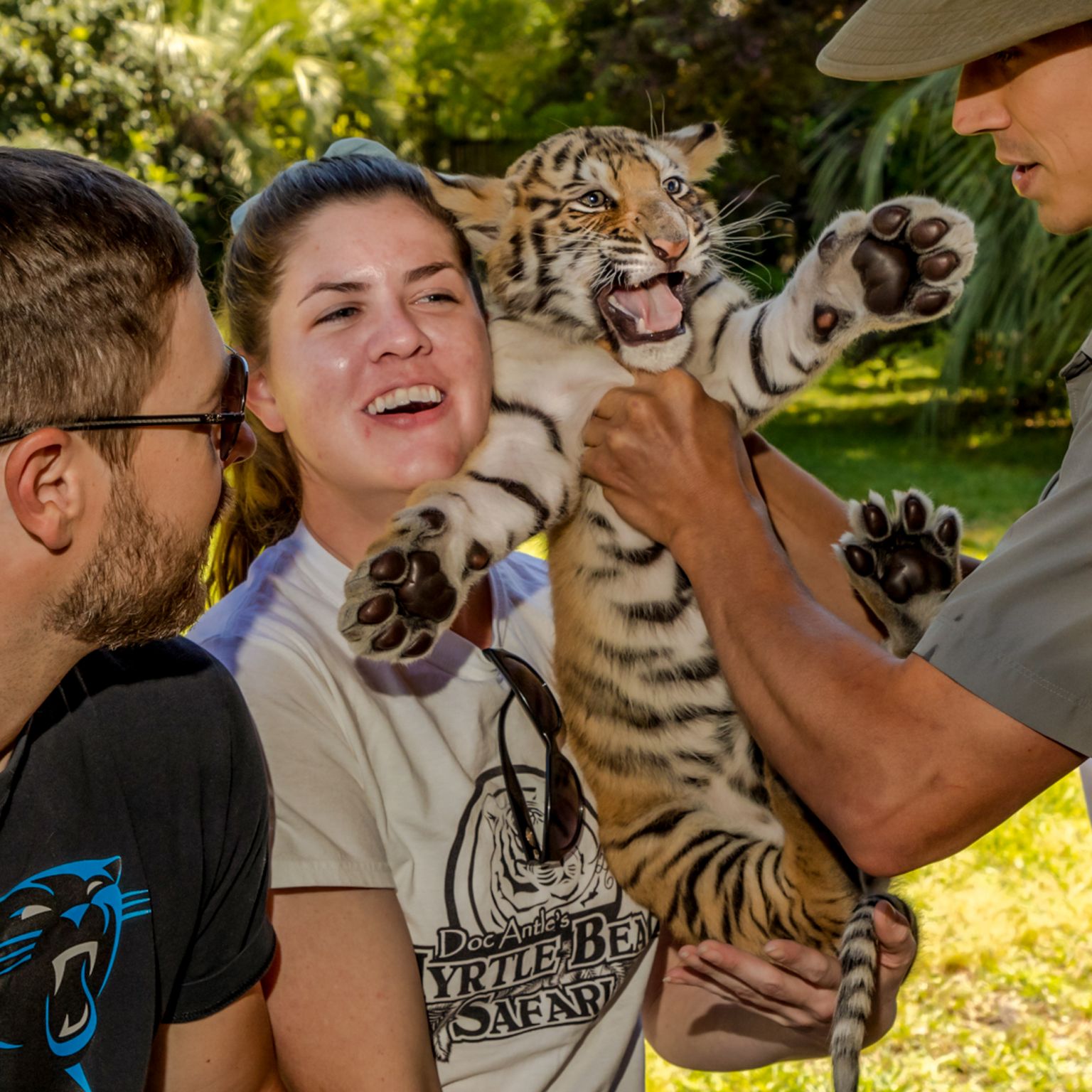 The Truth About "Tiger King" And Cats in Captivity | Blog | Nature | PBS