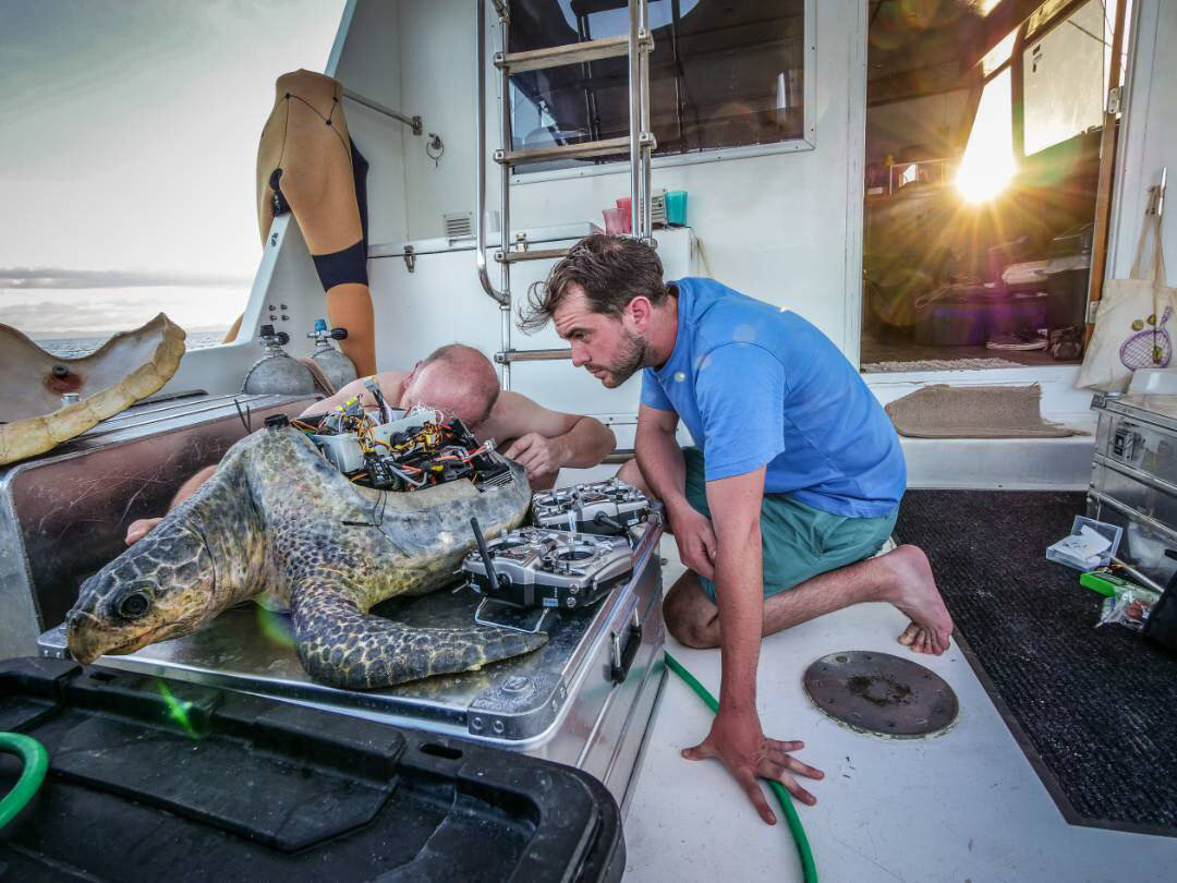 Spying for Science: How "Spy in the Wild" is Influencing The Way ...